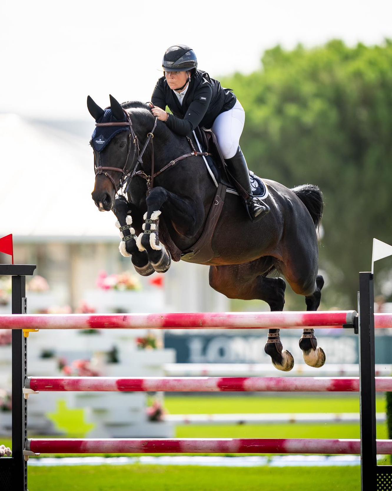 Stella Röhlcke – Equestrian Stockholm