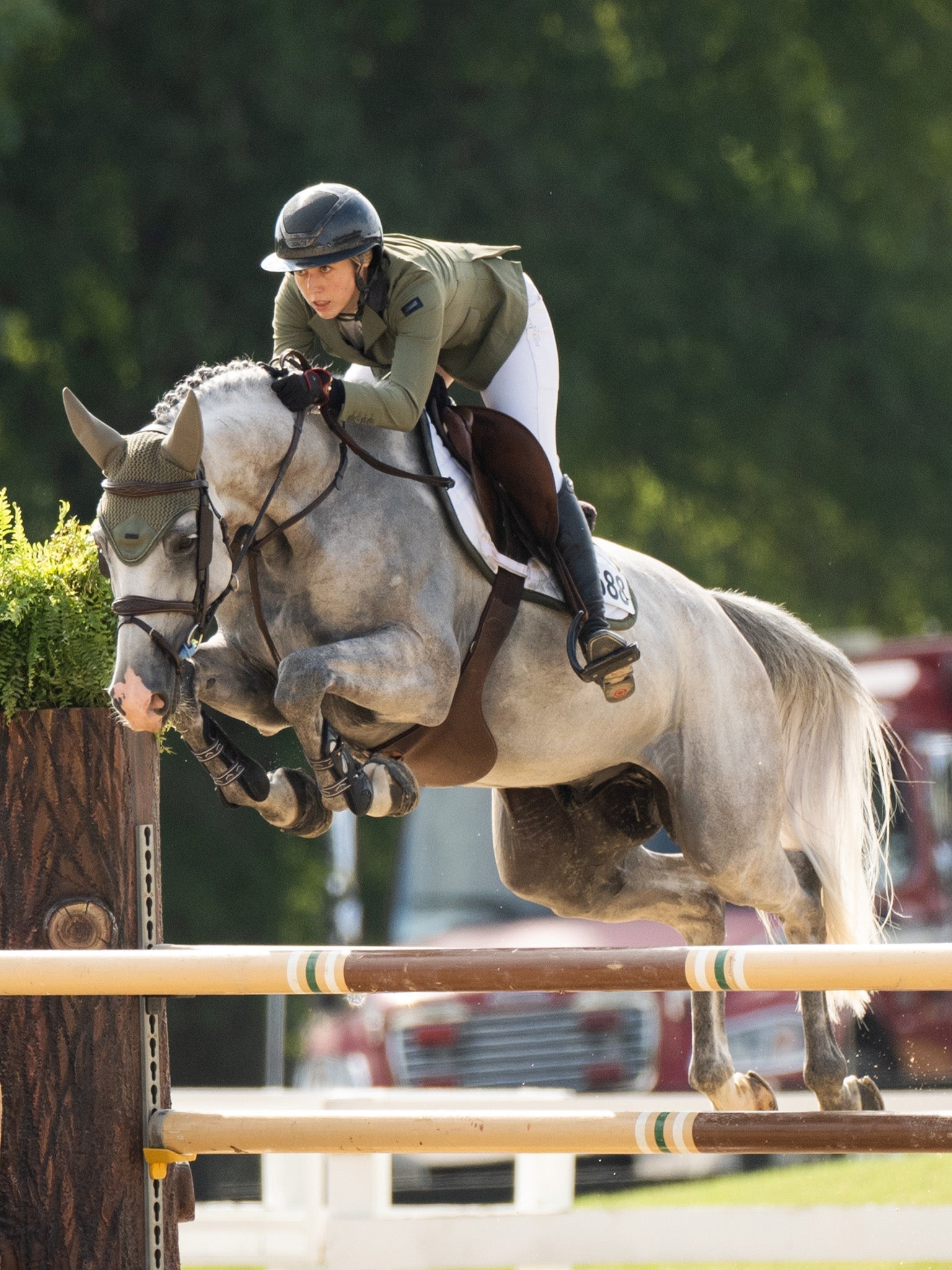 Top 25 Show Jumping Terms Every Rider Should Know – Equestrian Stockholm