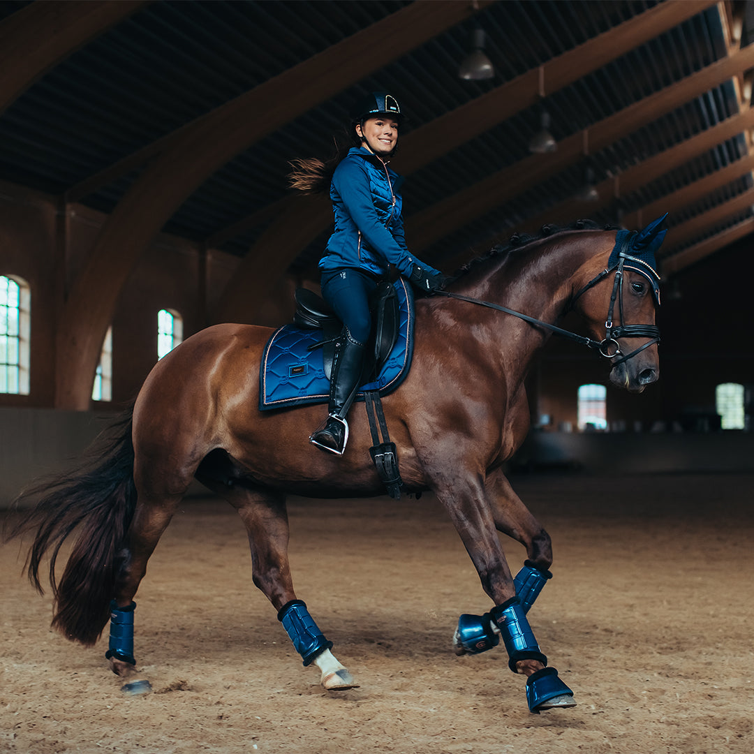 Horse boots Guide – Equestrian Stockholm