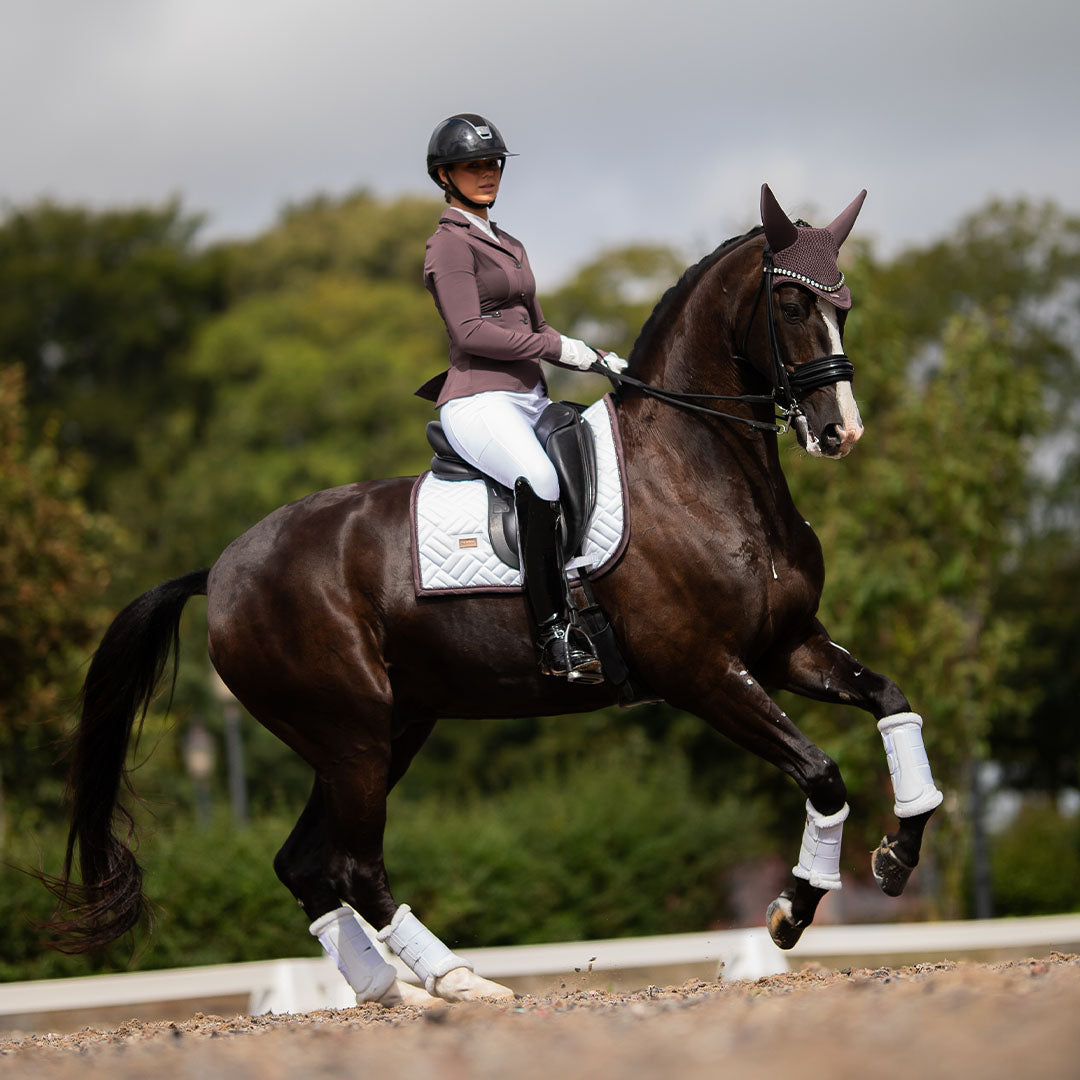 Top 25 Dressage Terms Explained – Rider's Glossary – Equestrian Stockholm