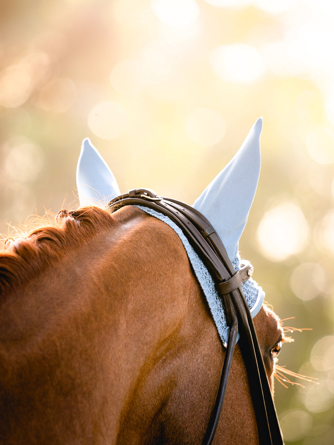 Equestrian Sale: Riding Apparel & Horse Gear – Equestrian Stockholm