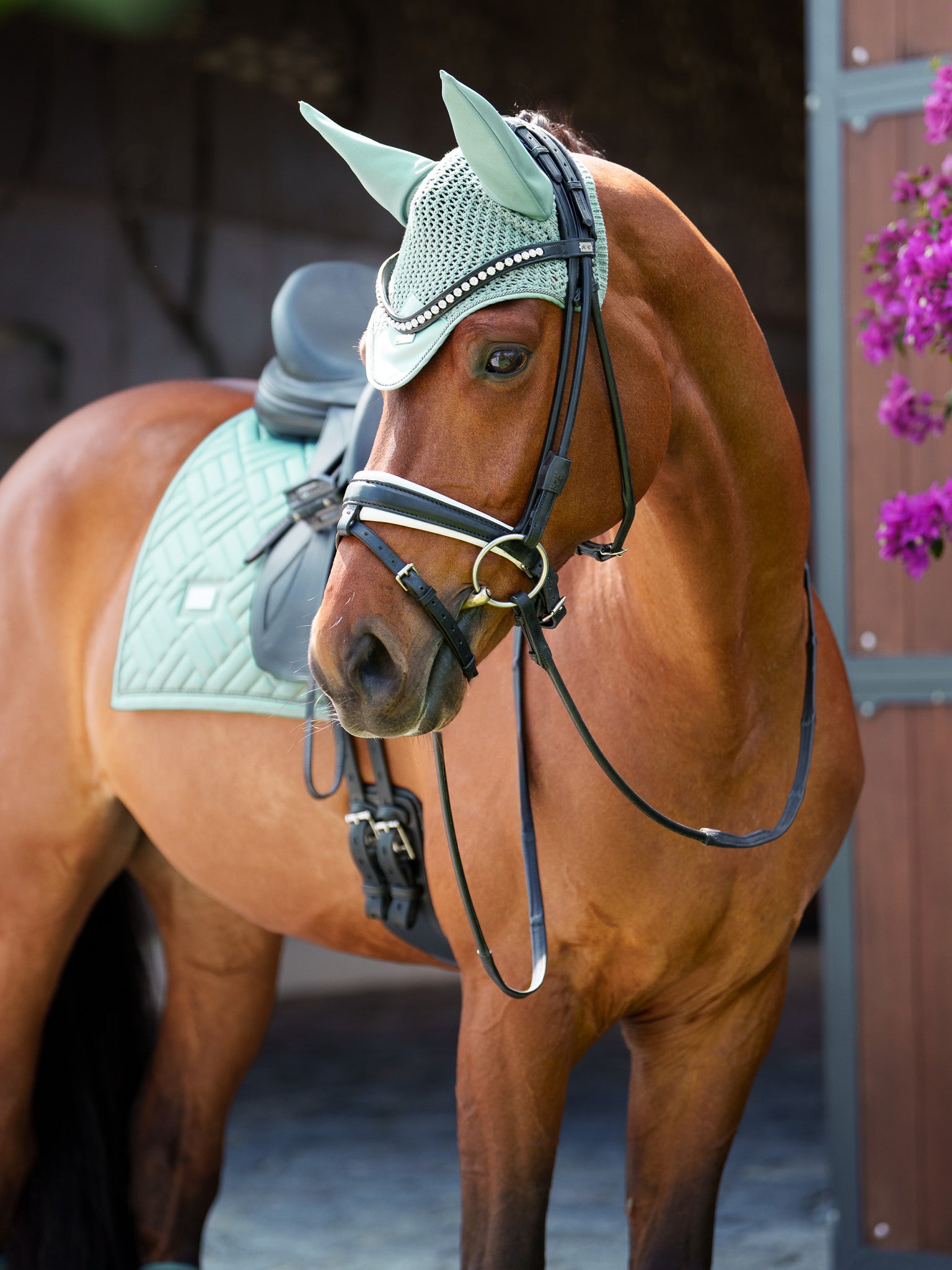 Mint Green – Equestrian Stockholm