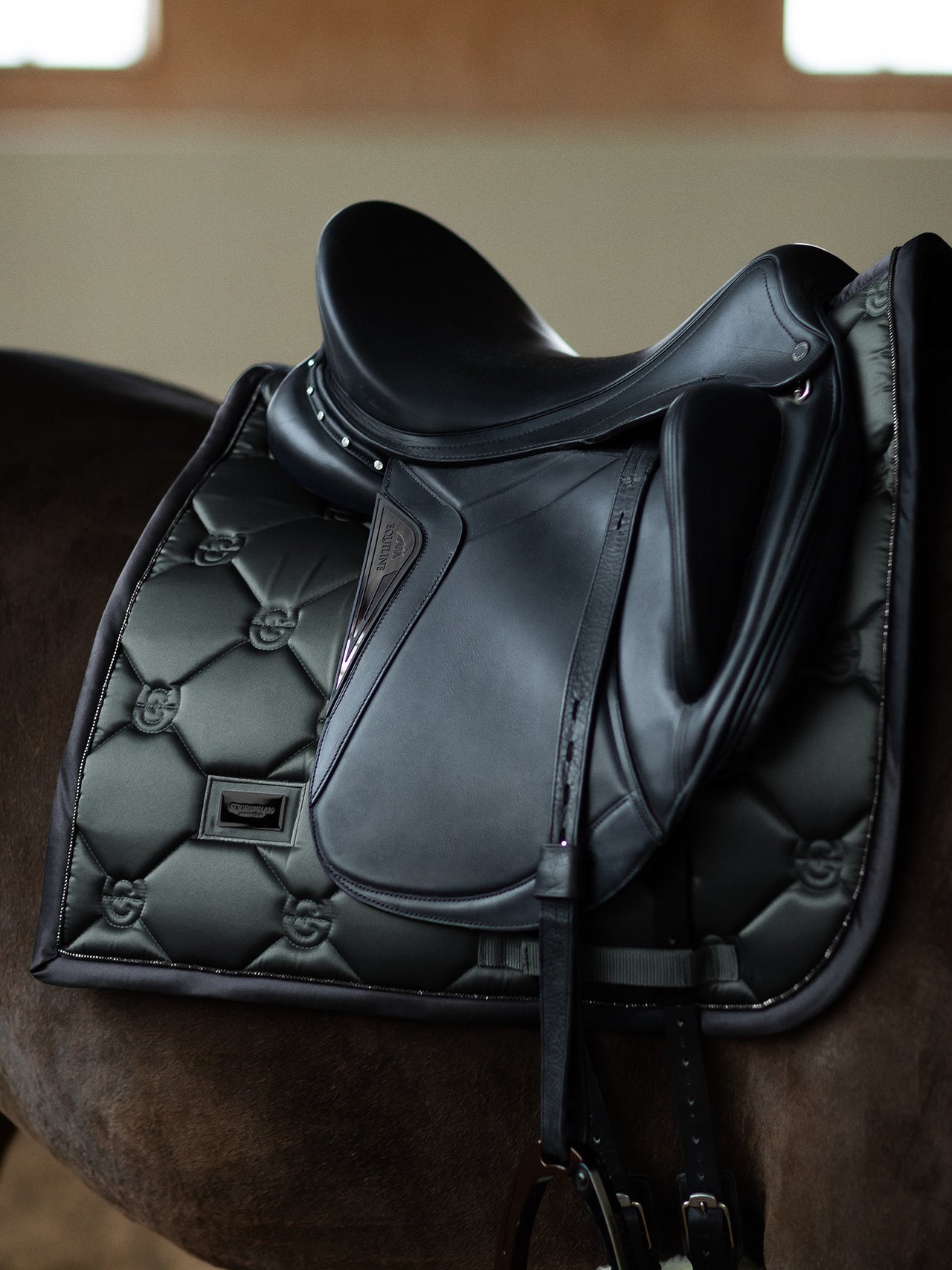 Schabrak – Equestrian Stockholm