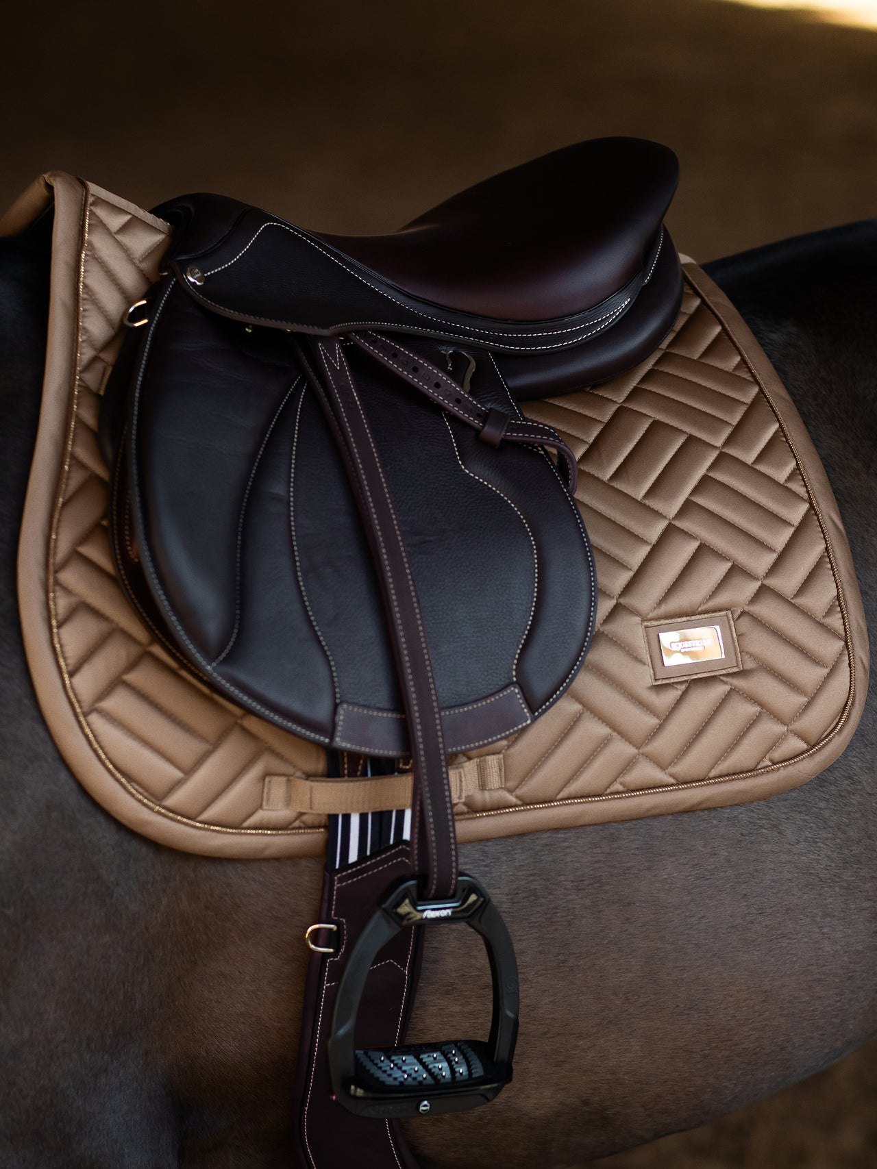 Schabrak – Equestrian Stockholm