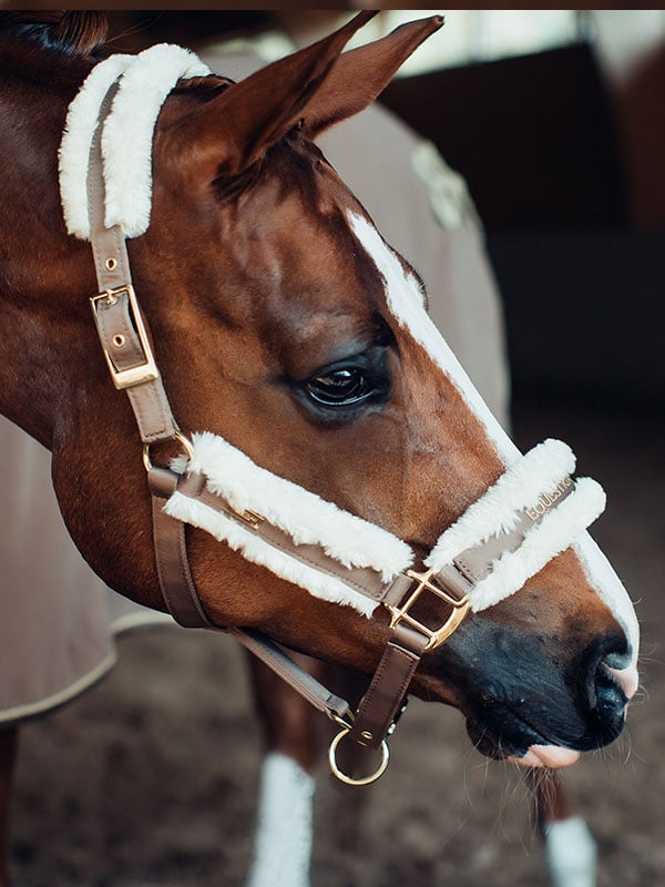 Fur Halter & Lead Rope Champagne – Equestrian Stockholm