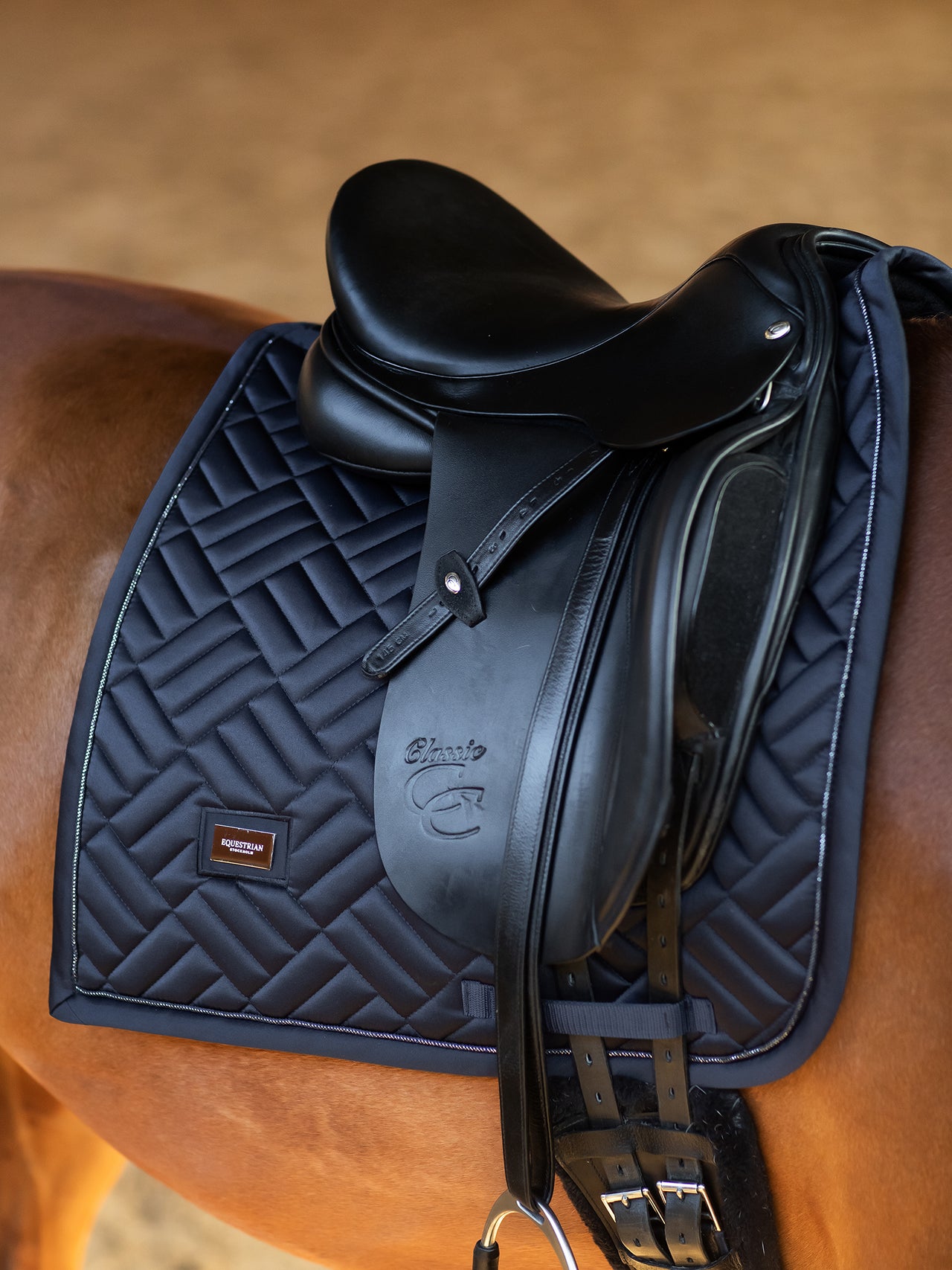 Schabrak – Equestrian Stockholm