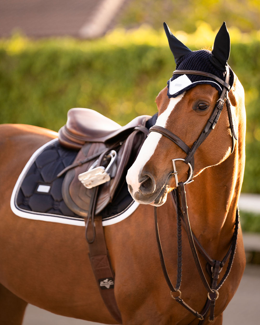 Jump - new customer – Equestrian Stockholm